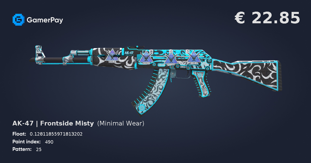 AK-47 | Frontside Misty on GamerPay