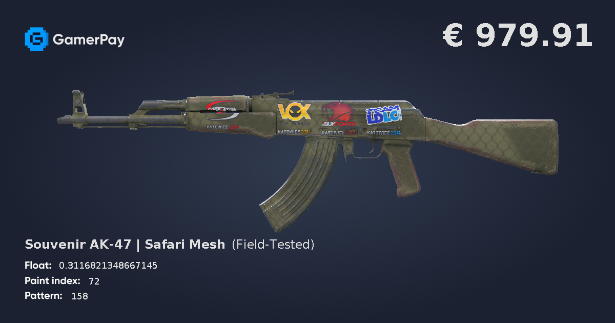 Souvenir AK-47 | Safari Mesh on GamerPay