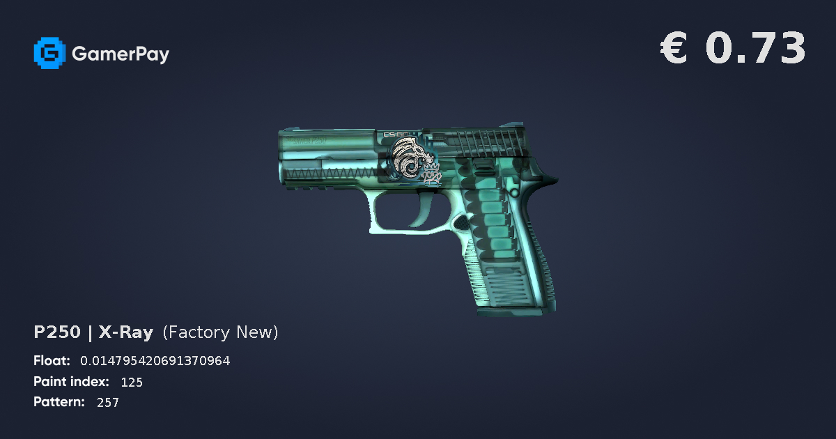 P250 | X-Ray on GamerPay