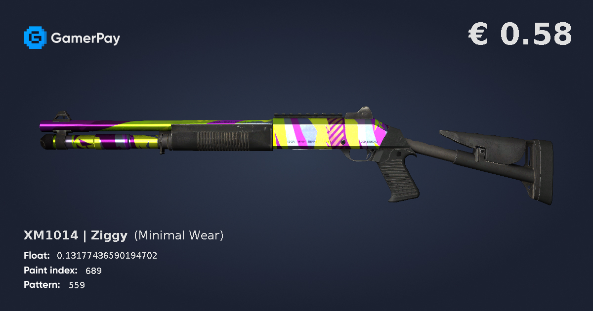 XM1014 | Ziggy on GamerPay