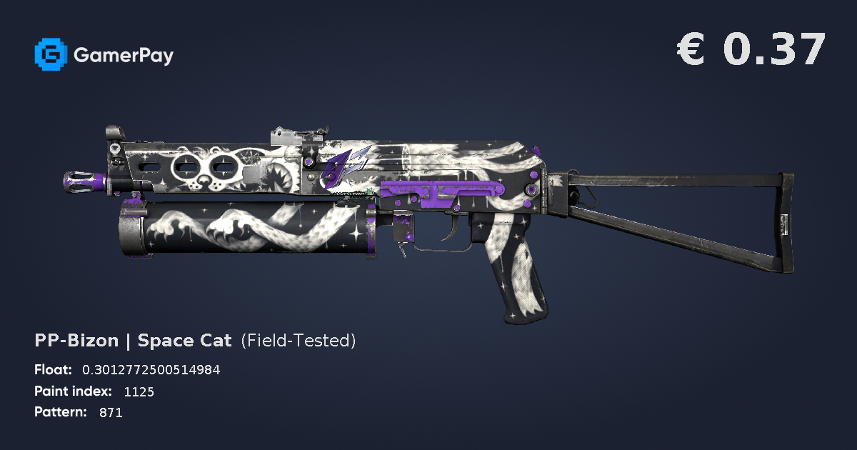 PP-Bizon | Space Cat on GamerPay