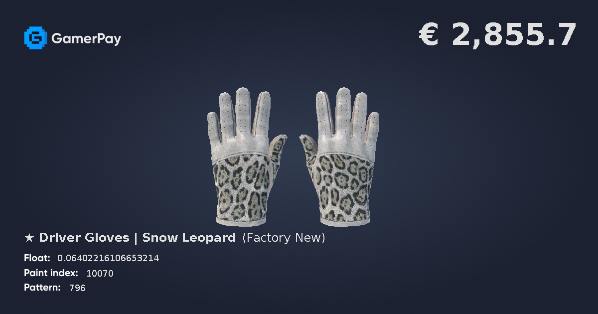 Driver Gloves | Snow Leopard on GamerPay