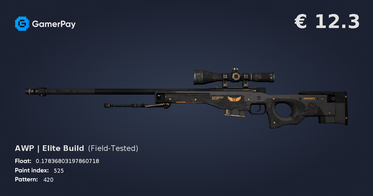 AWP | Elite Build on GamerPay