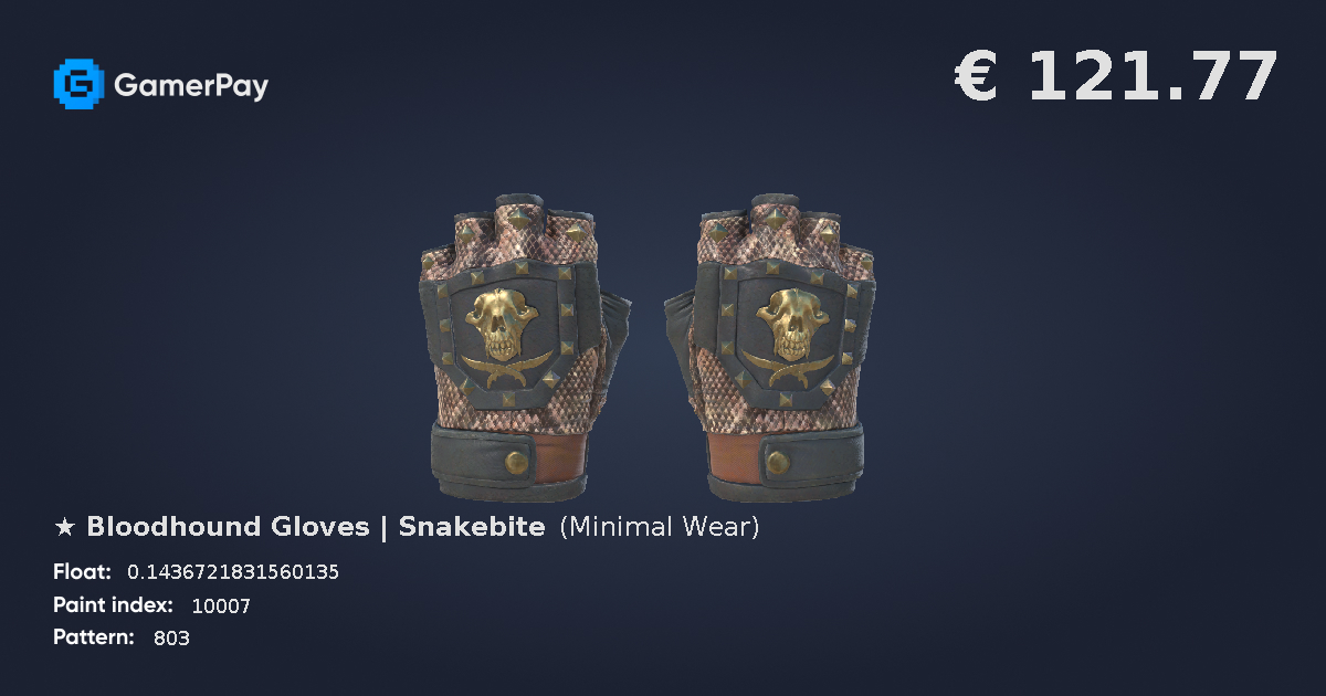 Bloodhound Gloves | Snakebite on GamerPay