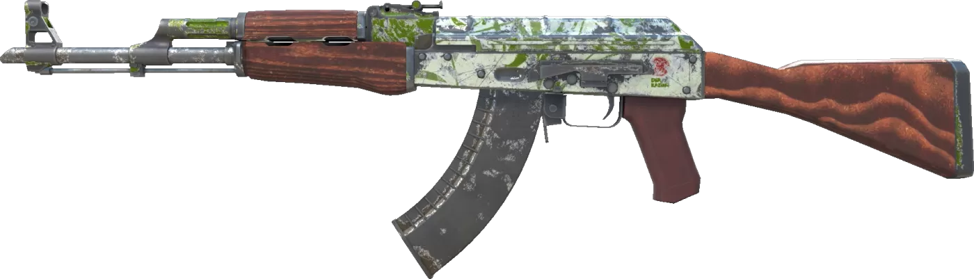 AK-47 | Hydroponic on GamerPay