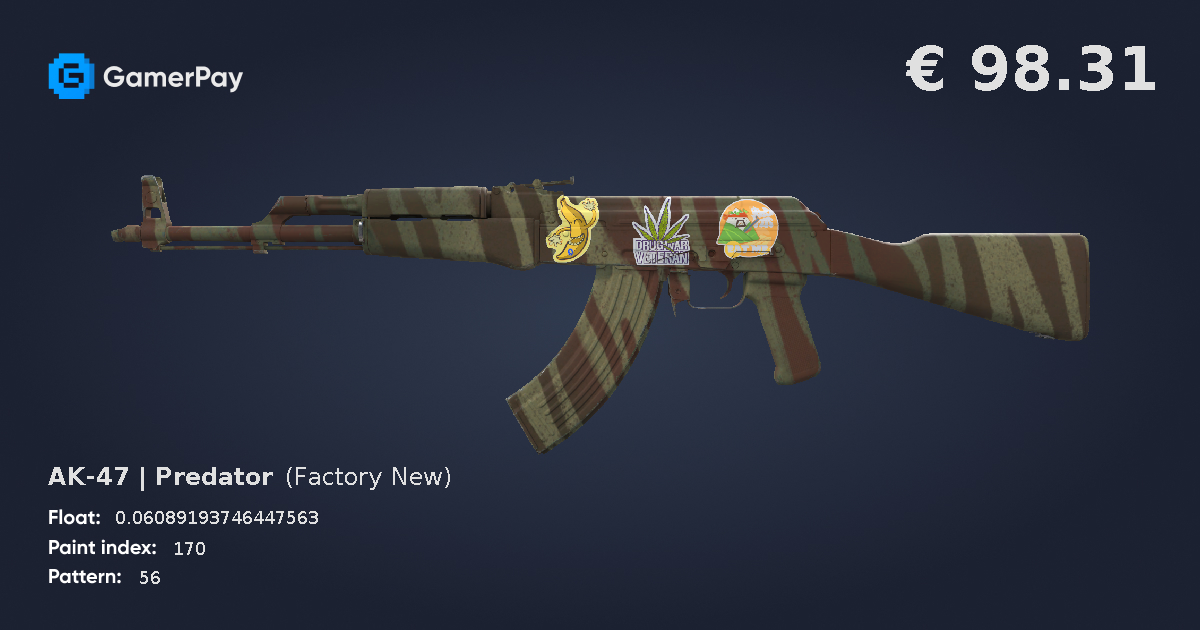 AK-47 | Predator on GamerPay