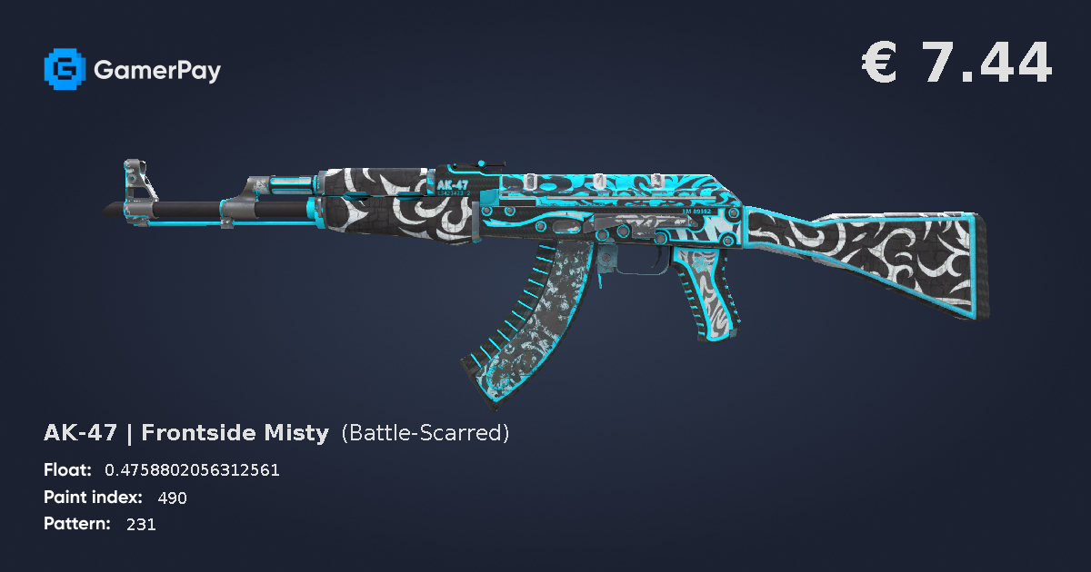 AK-47 | Frontside Misty on GamerPay