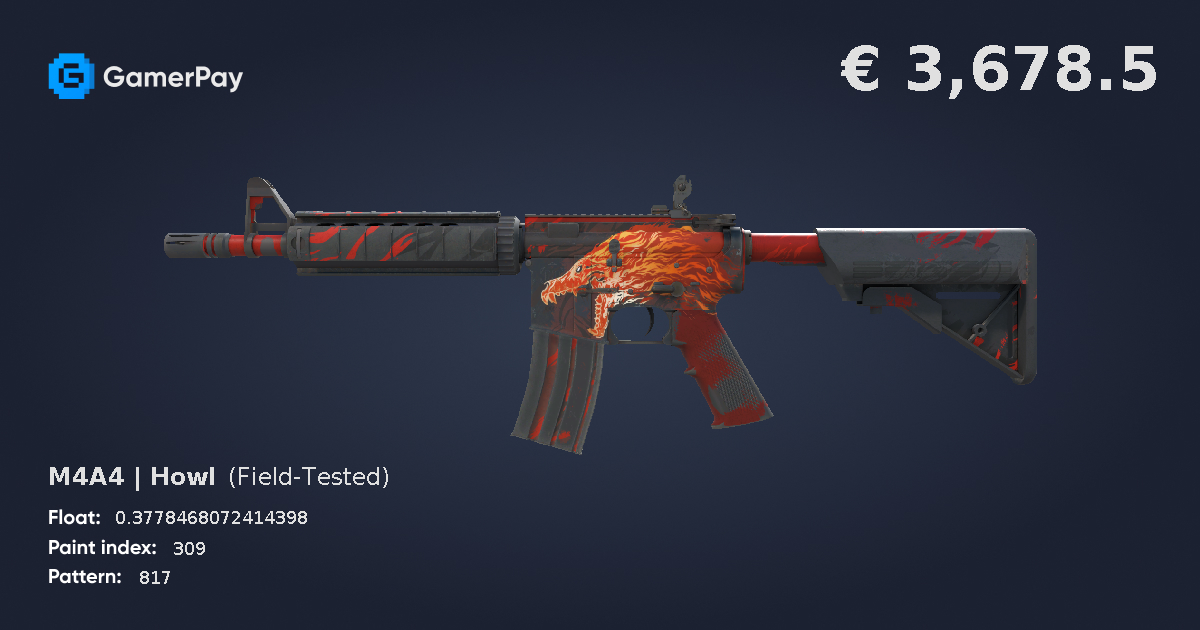 M4A4 | Howl on GamerPay