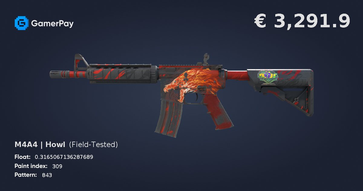 M4A4 | Howl on GamerPay
