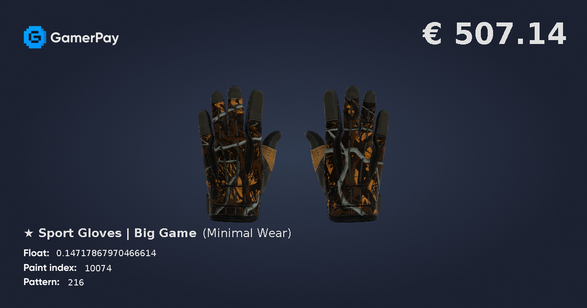 Sport Gloves | Big Game on GamerPay