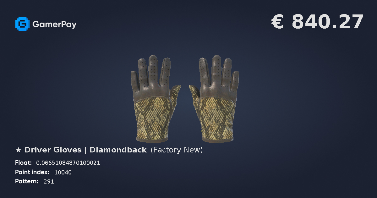 Driver Gloves | Diamondback on GamerPay