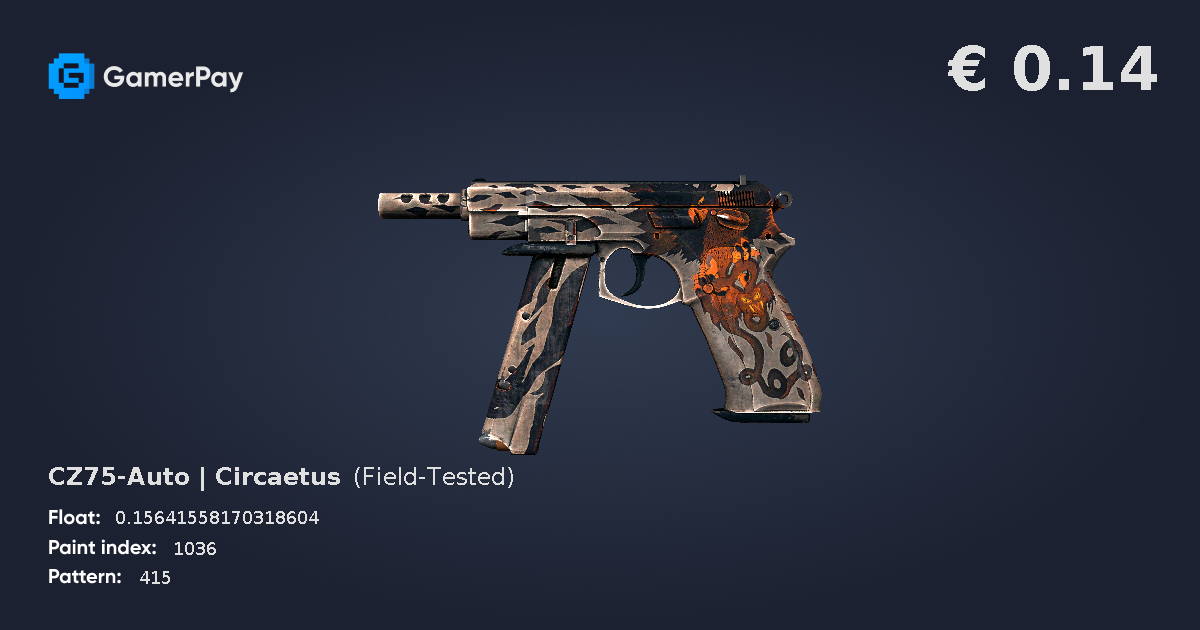 CZ75-Auto | Circaetus on GamerPay