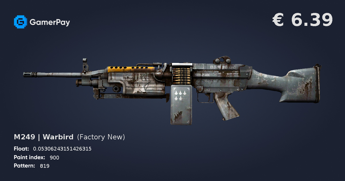 M249 | Warbird on GamerPay
